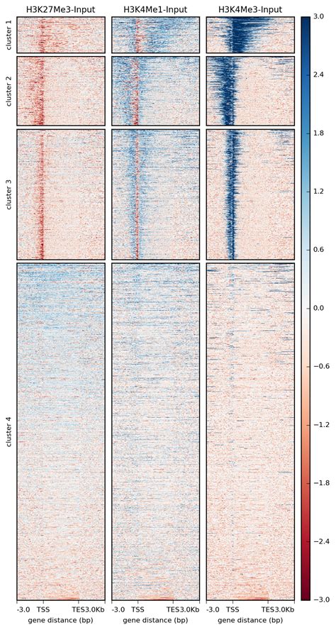 Plotheatmap — Deeptools 356 Documentation