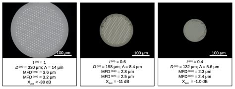 Tapered Multi Core Fiber For Lensless Endoscopes Szphoton Tapered Multi Core Fiber For Lensless Endoscopes Szphoton