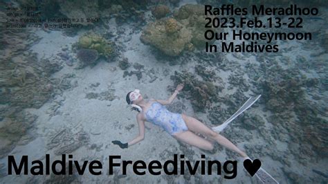 몰디브 신혼여행 Ep1 몰디브에서 프리다이빙 Youtube