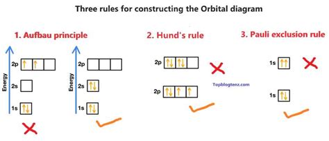 The Beginner S Guide To Understanding The Rules Of Orbital Diagrams