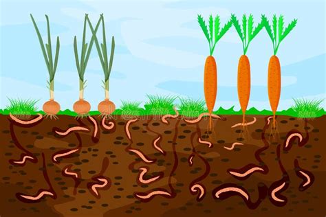 Pista De Terra Com Minhocas E Vegetais Minhocas No Solo Do Jardim