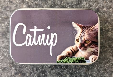 Catnip Tin One Third Oz Premium All Natural Organic Catnip In Tin Etsy