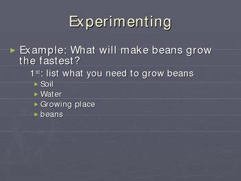 Scientific Method PowerPoint Notes By Allison Kragt TPT