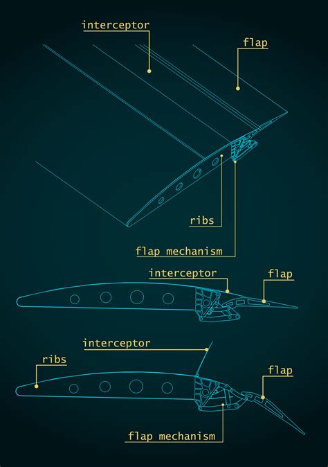 Aircraft Wing Structure And Flaps Systems Blueprints 44237009 Vector