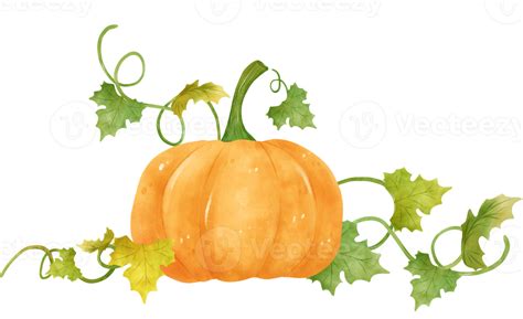 Cartoon Pumpkin Pngs For Free Download