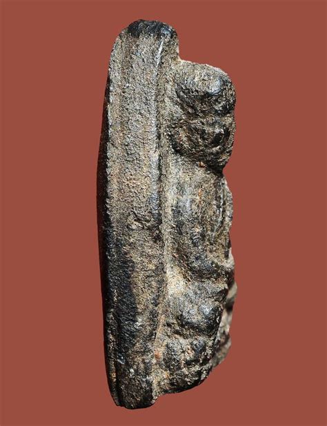 หลวงปู่ทวดเนื้อว่าน รุ่นแรก วัดช้างให้ พิมพ์กลางชลูด สวยเนื้อจัดๆ Ennxo