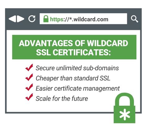 issue a wildcard ssl certificate for your domain by itschelsea fiverr