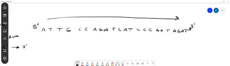 solved a partial sequence of a newly discovered bacteriophage is shown