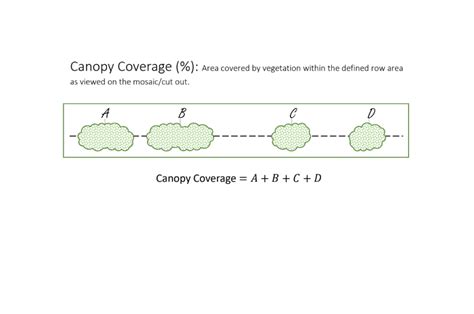 Canopy Coverage