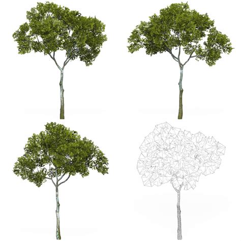 32 game ready tree collection 02 3d model by treeworld3d