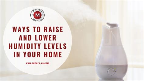 Ways To Raise Lower Humidity Levels In Your Home Miller S Services