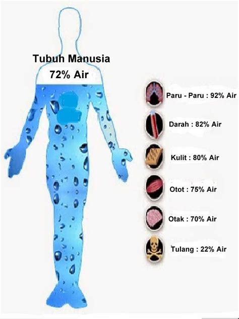 Sains Materi Sistem Pencernaan Manusia Zat Makanan Hari Senin Tanggal