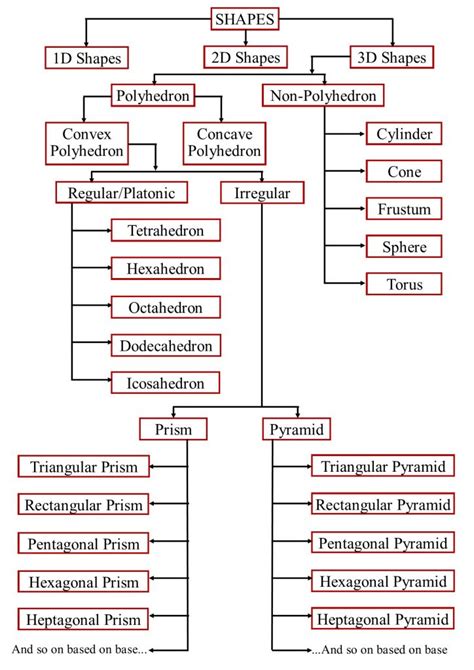 Cbse Class 8 Maths Visualizing Solid Shapes Notes And Questions Amb