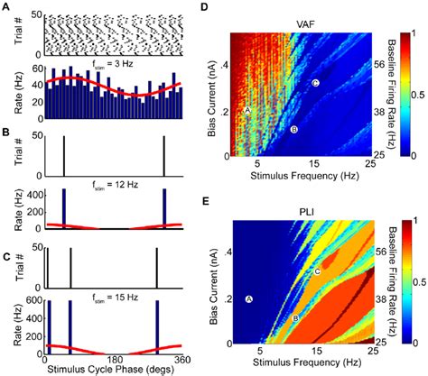 Synchronization To Sinusoidal Input And Its Consequences On Faithful Download Scientific