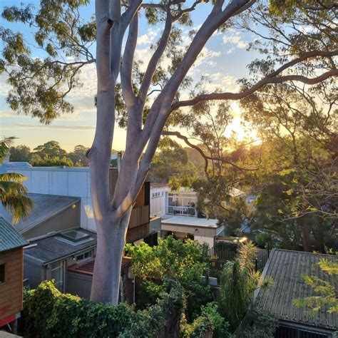 Home 😸🌄🌻🔆🌞 Felicity Nelson