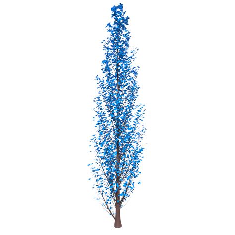 Tree Isolated On Transparent PNG Tree Isolated On Transparent PNG