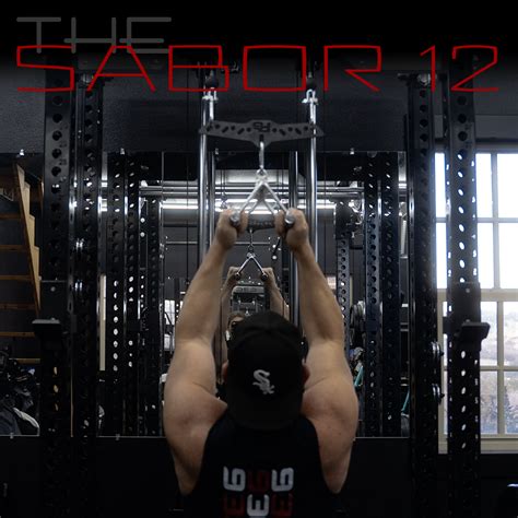 Gym Cable Attachments