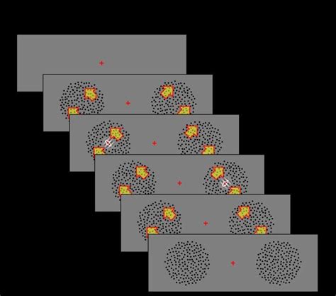 General Spatio Temporal Display Of The Stimuli In Experiments 1 21 3