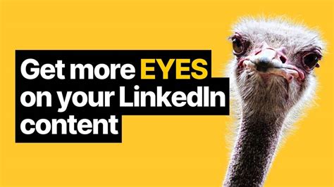 Get More Eyeballs On Your LinkedIn Content From The Feed