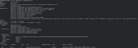 Openshift Replication Controllers Carlosthe19916