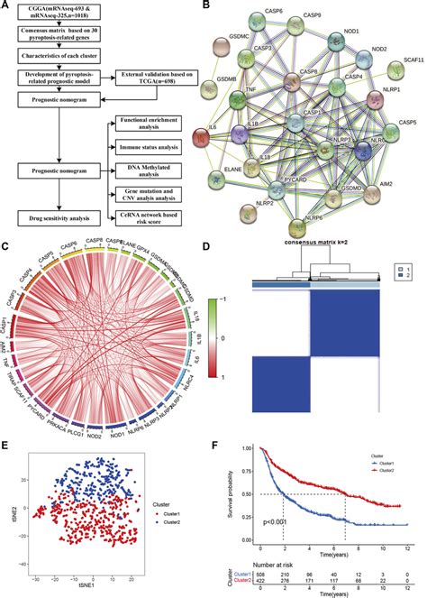 Identification Of Glioma Subclasses Using Consensus Clustering Method Download Scientific