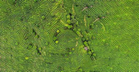 Cisco S Continued Journey To Net Zero