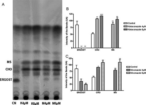Effect Of Sterol Biosynthesis Inhibitors On Sterols Of L Amazonensis