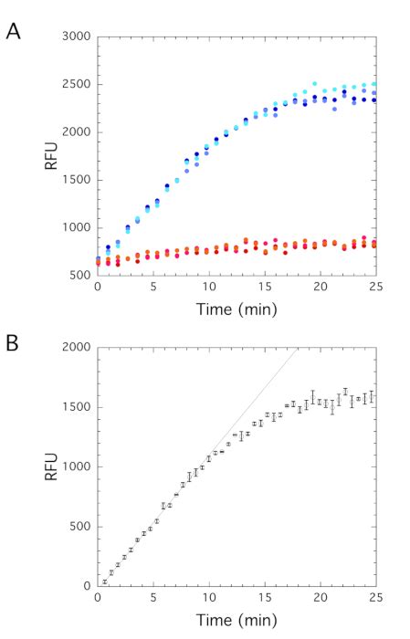 Continuous Fluorescence Based Endonuclease Coupled Dna Methylation Assay To Screen For Dna