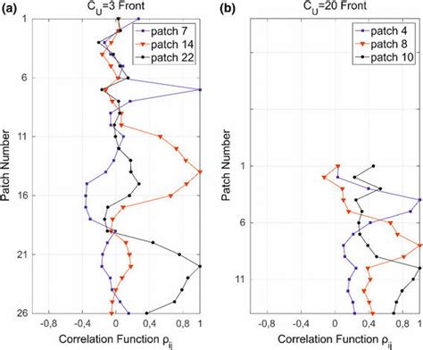 Coefficient Of Spatial Correlation Calculated For Three Patches Of