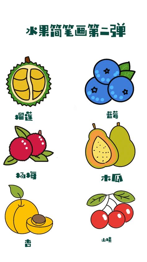 各种水果简笔画涂色 各种水果简笔画涂色大全 画趣文库（我爱生活）