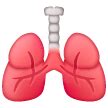 🫁 Lungs Emoji — Dictionary Of Emoji Copy And Paste