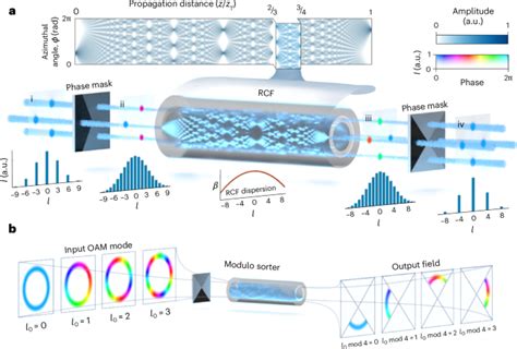 Generalized Angle Orbital Angular Momentum Talbot Effect And Modulo