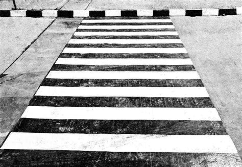Linear Equation By Pratap Rana Online Mojarto