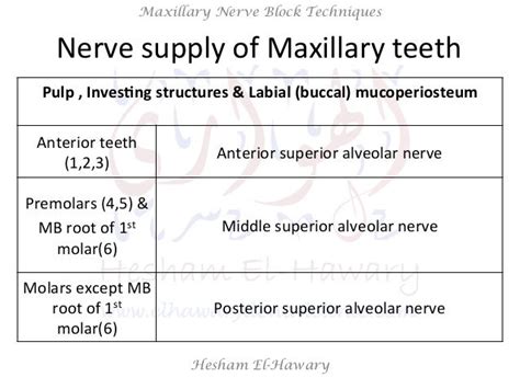 Maxillary Nerve Block Anesthetic Technique With Photos
