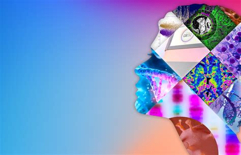 DNA Sequencing Understanding The Genetic Code