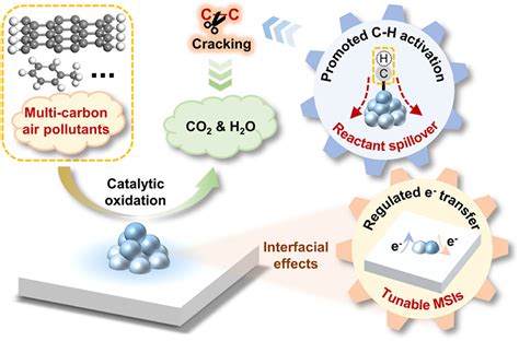 组内活动 王栋课题组