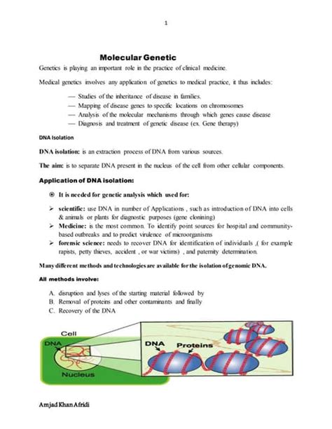 Principles Of Dna Isolation Pcr And Lamp Pdf