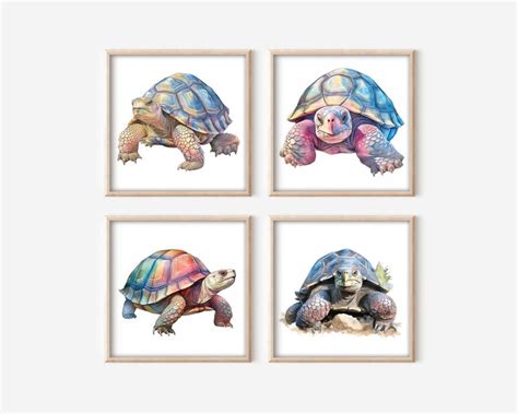 Tortoise Printable Clipart Set Of 8 High Resolution Tortoise Pngs