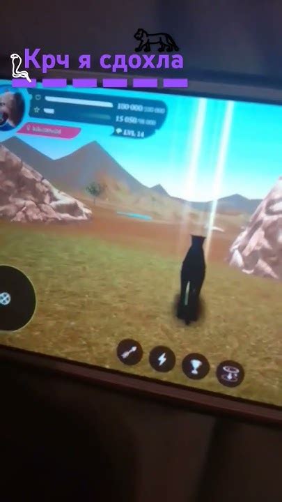 Крч я сдохла Youtube