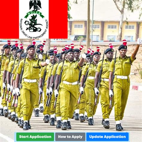 How To Successfully Login To Ndlea Recruitment Portal Recruitment