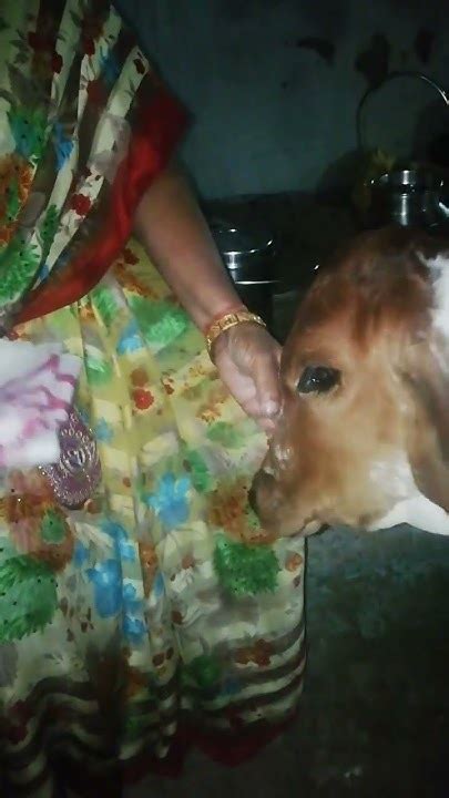 Viralshort Trending 1k Subscribe Youtube