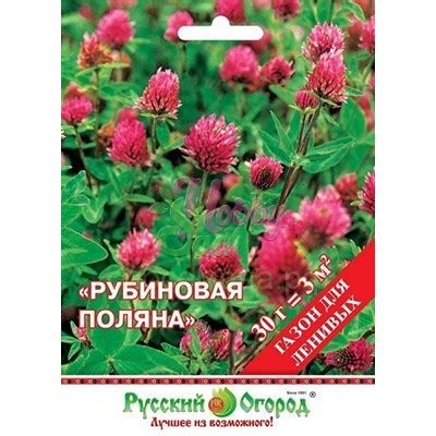 ГАЗОНЫ, СИДЕРАТЫ — Семена для Сибири