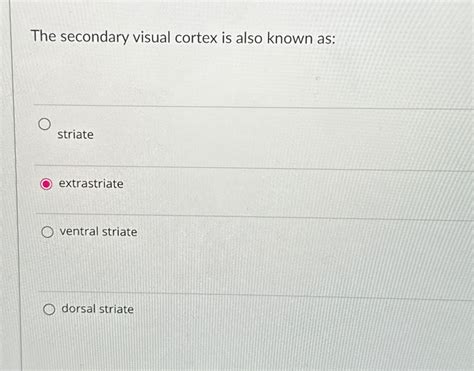 Solved The Secondary Visual Cortex Is Also Known Chegg Com
