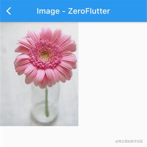 Flutter Image Flutter Widgets Image