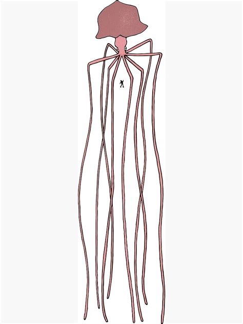 Bigfin Squid Poster For Sale By Bekome Redbubble