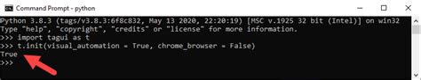 Set Up Tagui Python On Windows With Visual Automation