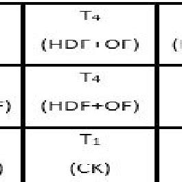 The Experimental Field Layout Download Scientific Diagram