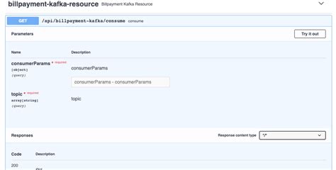 What Is The Value That Should Go Into The Consumerparams When Using The