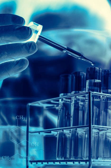Ich M10 Guidelines On Bioanalytical Method Validation