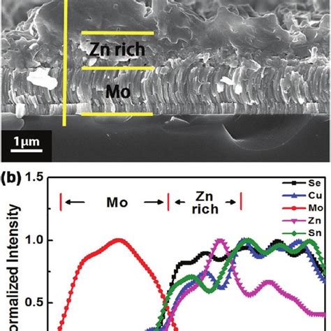 The A Cross Section Morphology And B Element Depth Profile From Eds